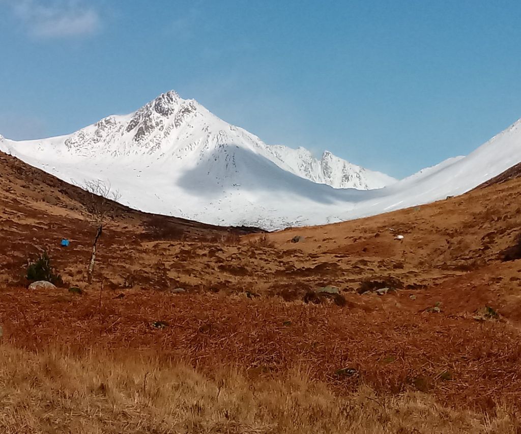 Arran's Food Journey | Promoting Arran Produce | Arran Foods