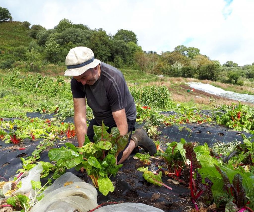 Arran's Food Journey | Promoting Arran Produce | Arran Foods